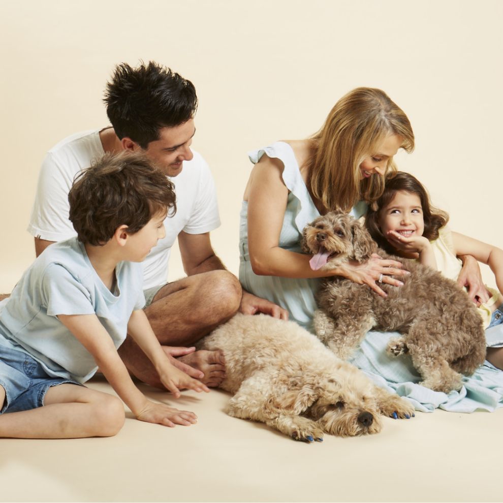 Dog & Cat Care Products Online USA – DOG by Dr Lisa US